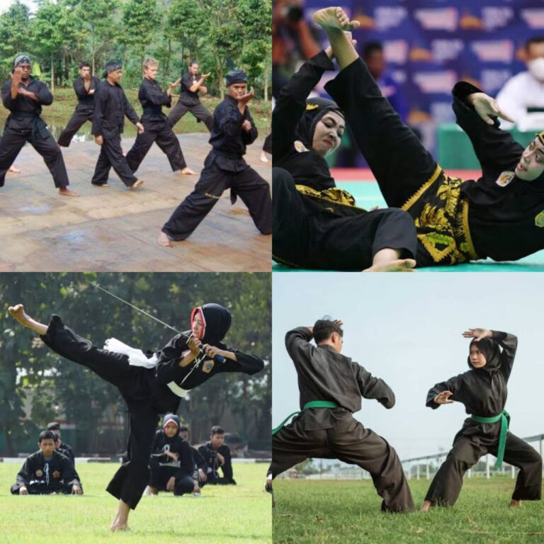 Mengenal pencak Silat, Seni Bela Diri Khas Indonesia - Grapari News